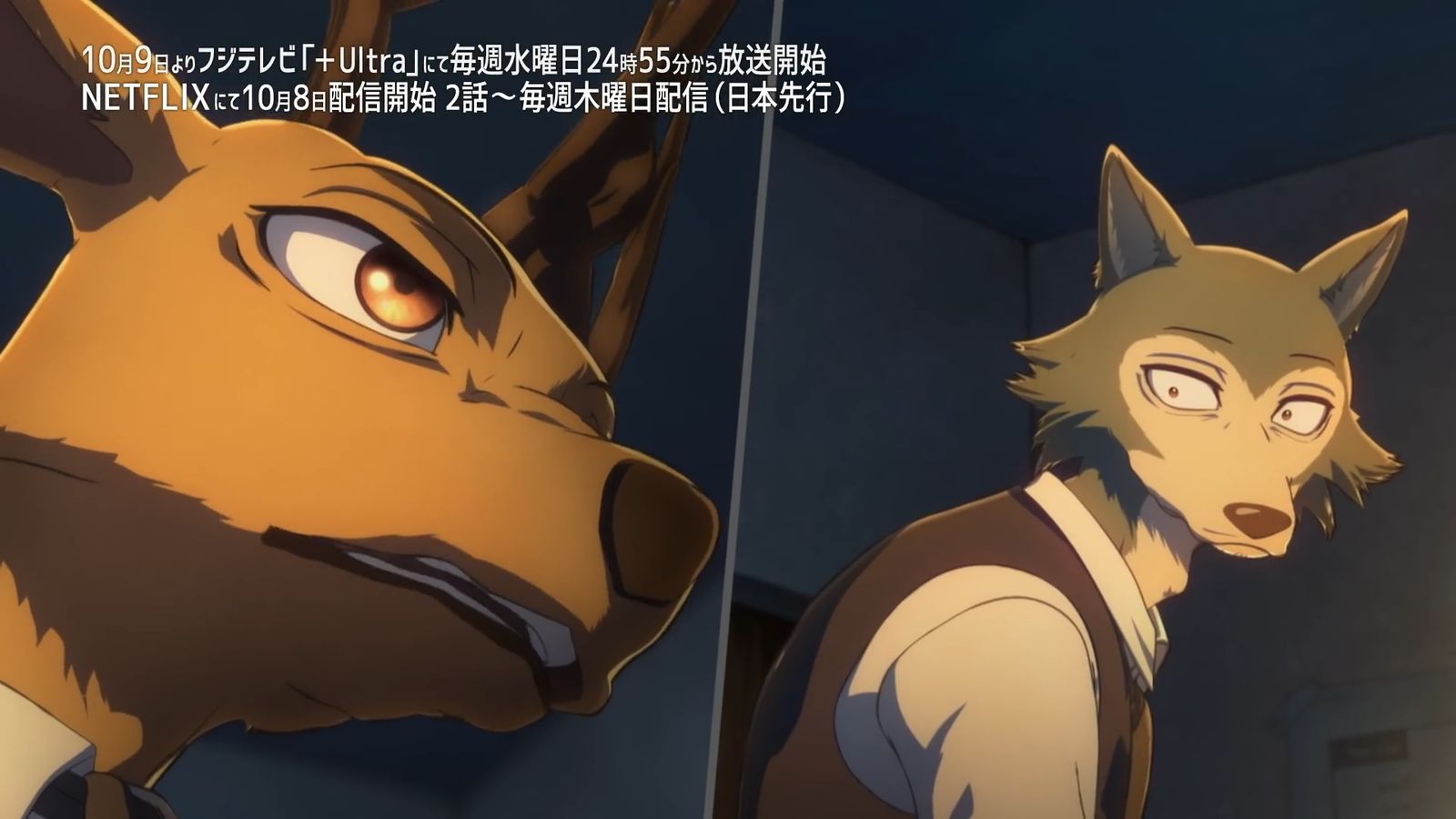 TV动画《BEASTARS》10分钟动画片段公布 | 机核 GCORES