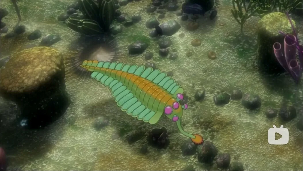 这个造型还不错，欧帕宾虫（Opabinia regalis）。不过普特莱克斯是什么鬼？这家伙叫内耶克... | 机组 | 机核 GCORES