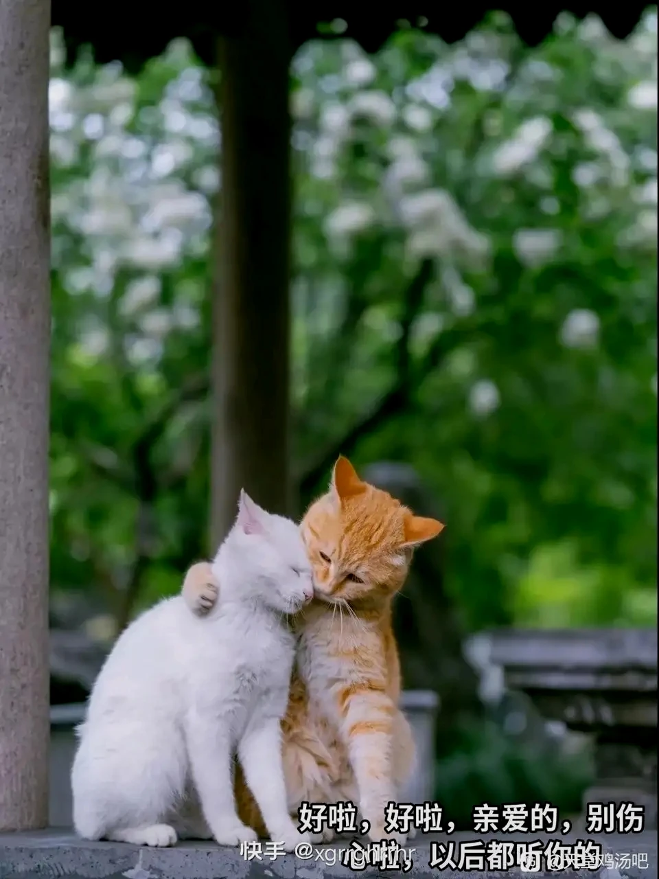 来自猫叉发布于停不下来的搜索小组的分享 | 机组 | 机核 GCORES