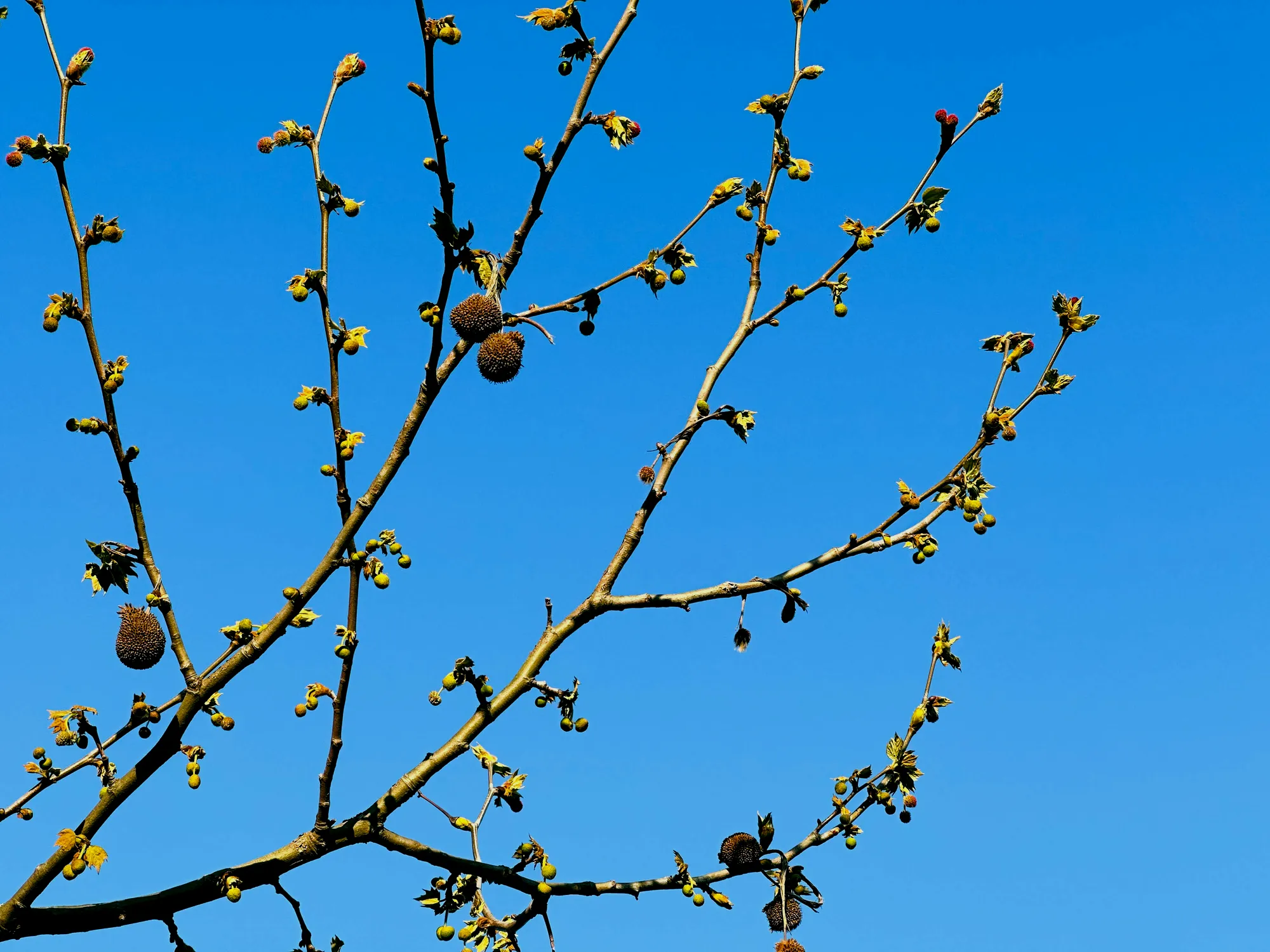 烧香拜佛记得跟菩萨报一下身份证号码 | 机组 | 机核 GCORES