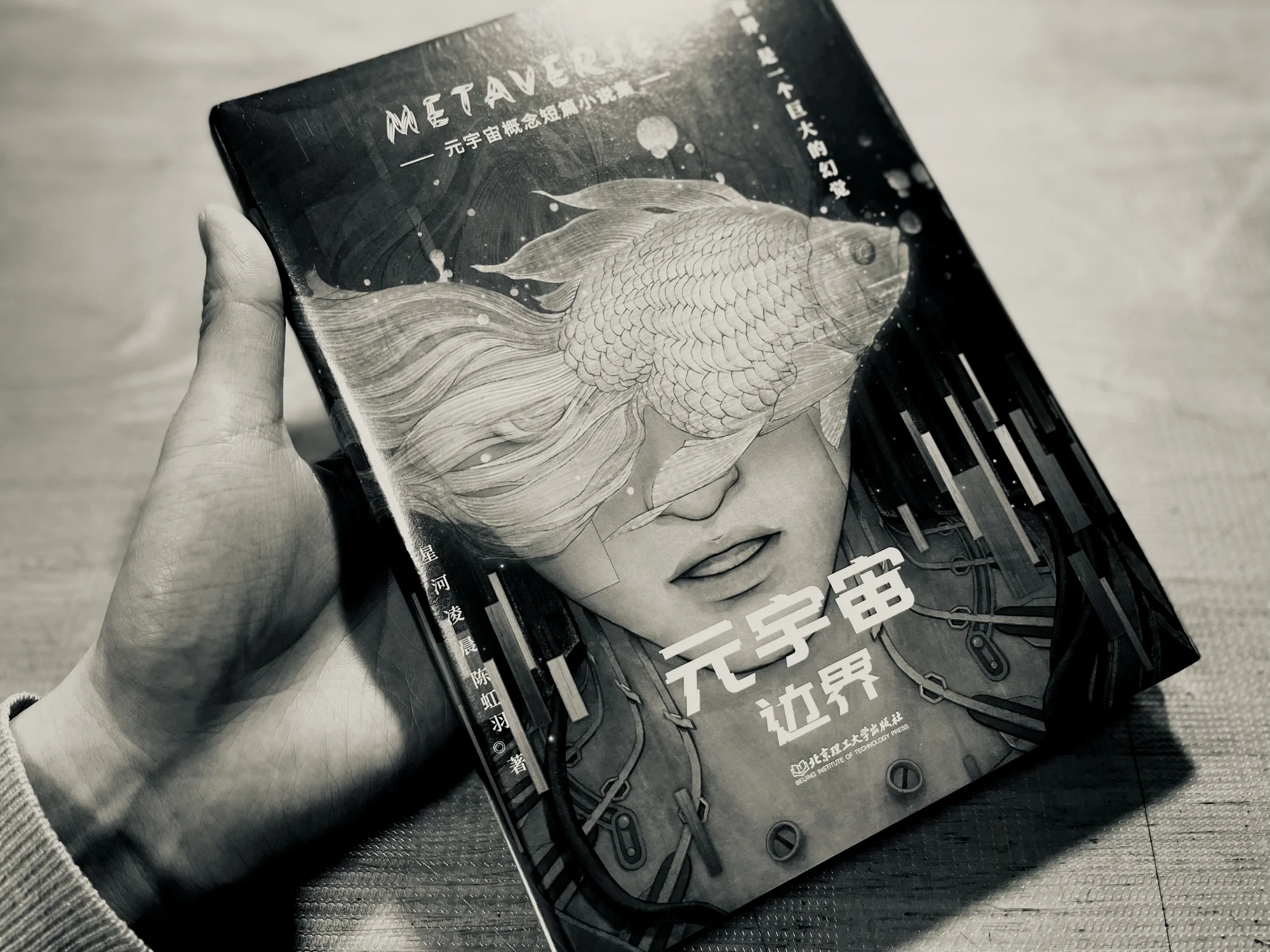 22年6月画的一张小说封面，最近样书到了，竟然印歪了😅… | 机组 | 机核 GCORES